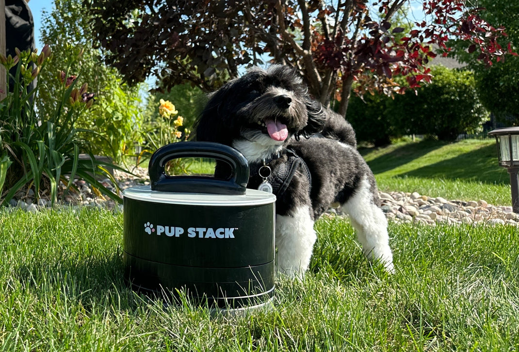 Frequently Asked Questions (FAQ) – Pup Stack